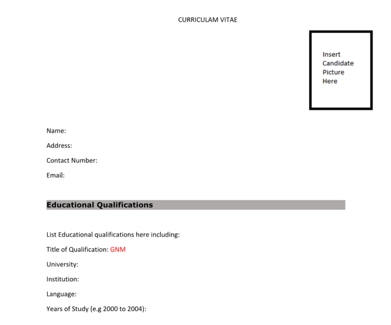 Ireland Sample CV Template - ENS Staffing